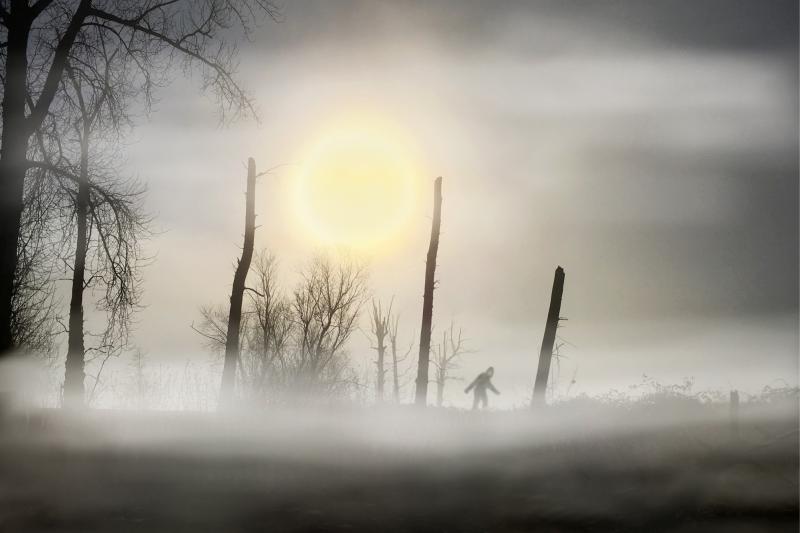 Cryptid Types and Their History | LoveToKnow