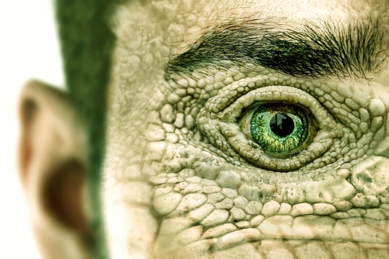 What Are Reptilian Aliens? Tales From Across the Globe | LoveToKnow