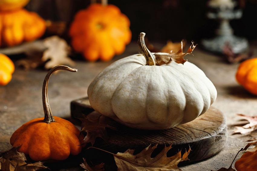 30+ Halloween Table Decor & Centerpiece Ideas From Elegant to Eerie ...