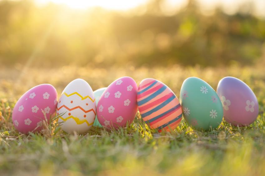 The Ultimate Guide to Hosting an Easter Egg-Dying Party | LoveToKnow