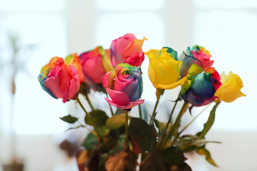 17 Colorful Rainbow-Theme Party Ideas for a Bright Celebration | LoveToKnow