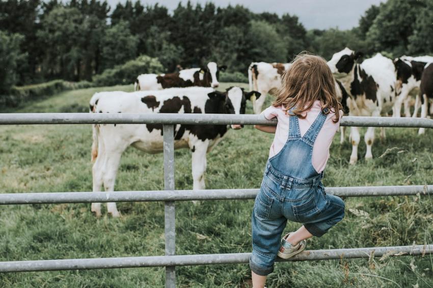 16 Kids' Spring Birthday Party Ideas for Your Little Flower or Bud ...