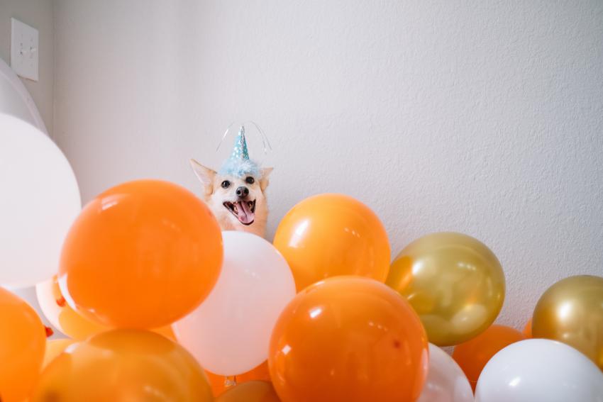 Paint the Town With 16 Vivid Color-Theme Party Ideas | LoveToKnow