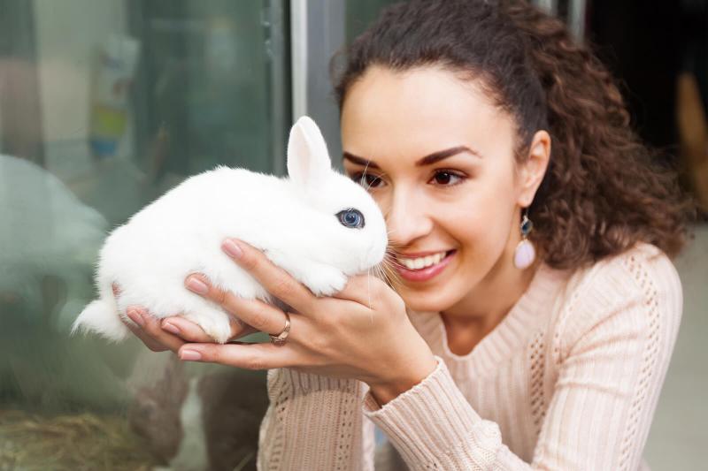 Blanc de Hotot Rabbits: Guide to These Rare, Fluffy Bunnies | LoveToKnow Pets
