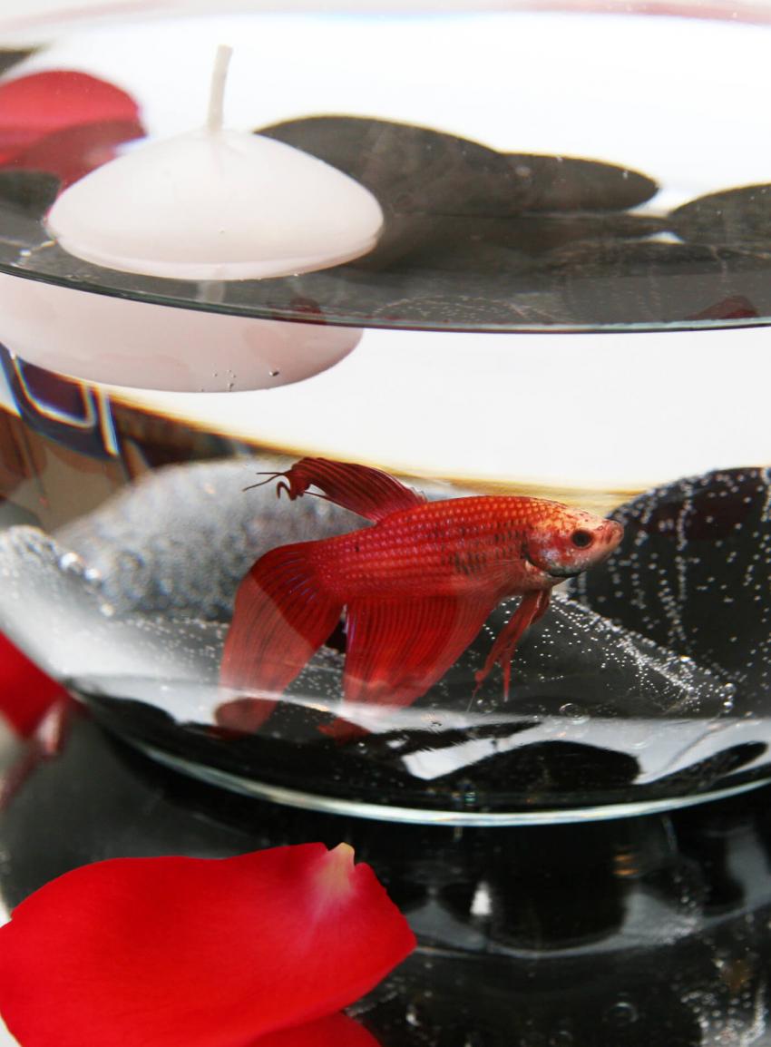 Stunning Tropical Centerpiece Ideas for Your Wedding | LoveToKnow