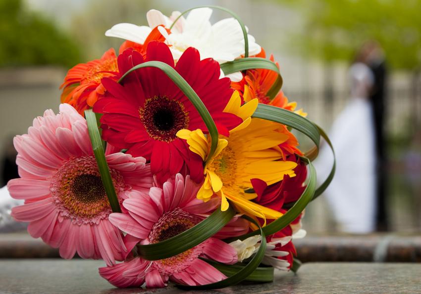 Stunning Gerbera Daisy Wedding Bouquets | LoveToKnow