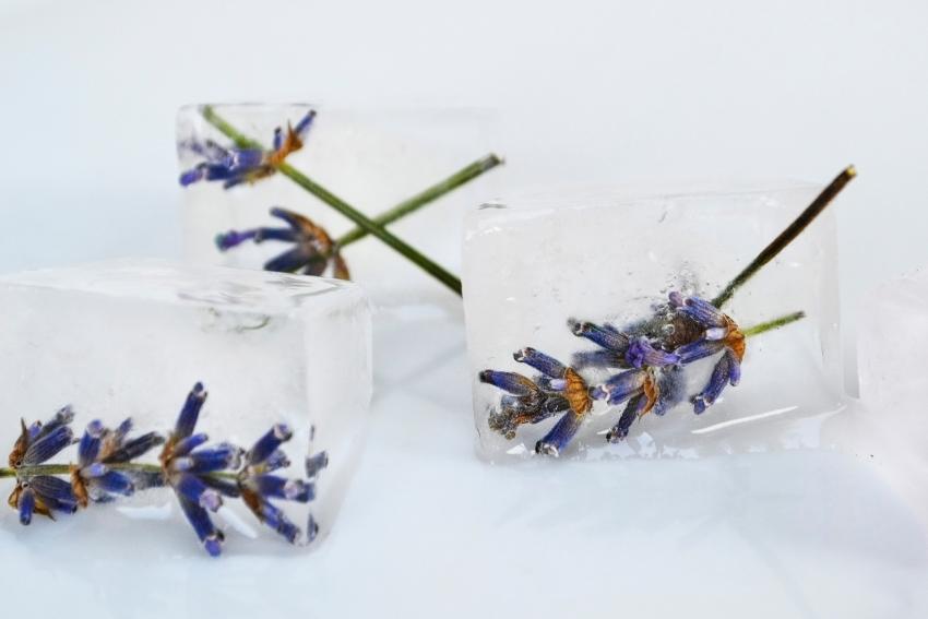 9 Ideas for a Garden-Theme Bridal Shower That's Botanical Bliss ...