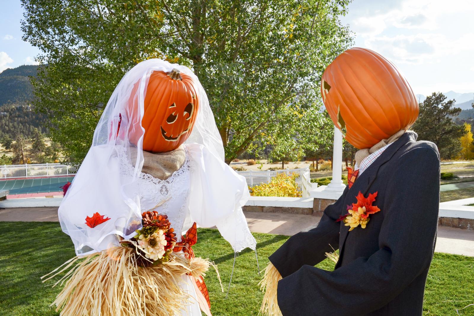 Bride And Groom Decorated Pumpkins LoveToKnow