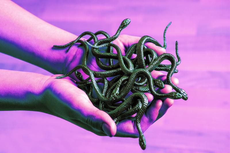 Dreams About Snakes: Positive and Negative Meanings | LoveToKnow Health ...