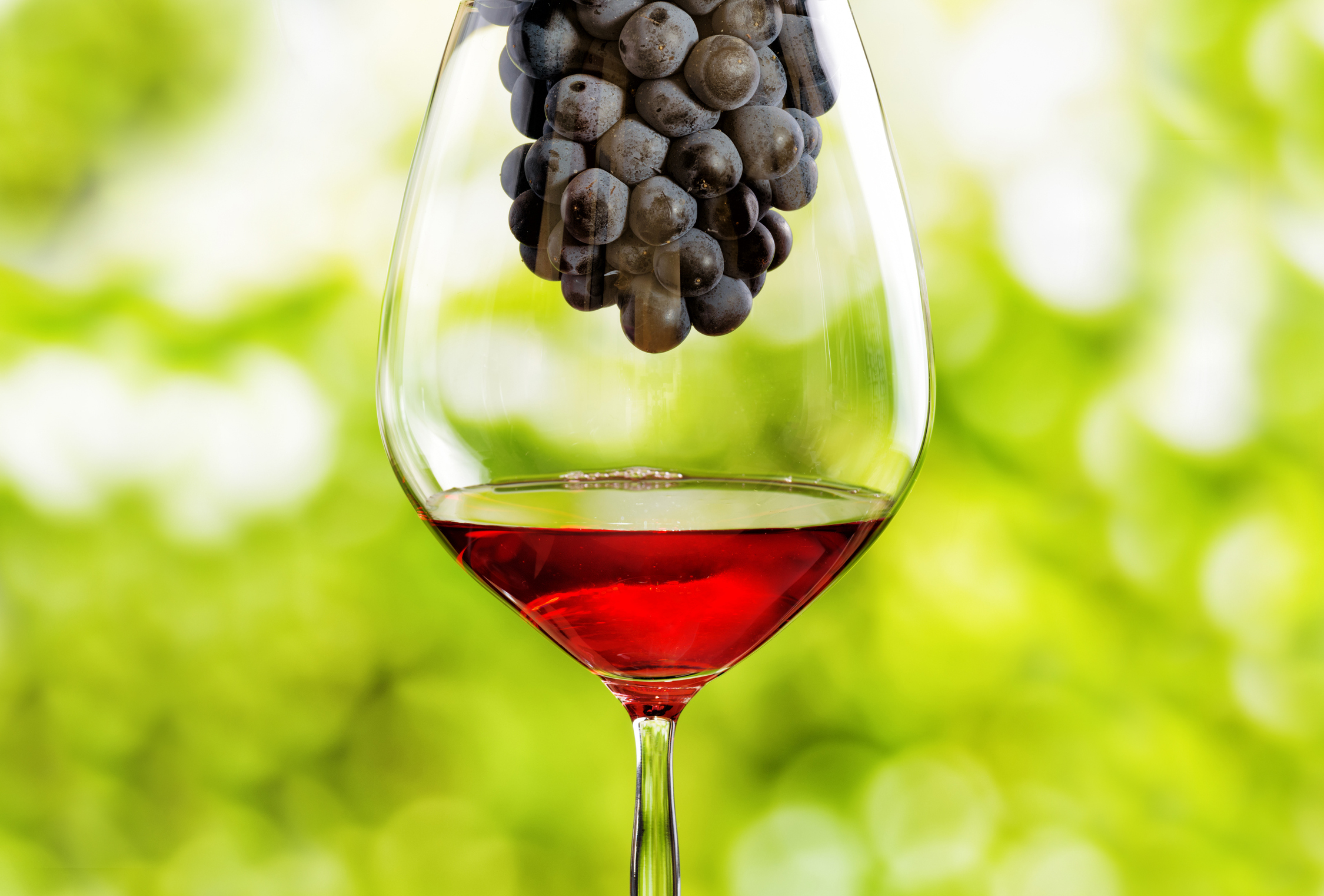 How Many Carbs Are In A Glass Of Wine Examples And Forms