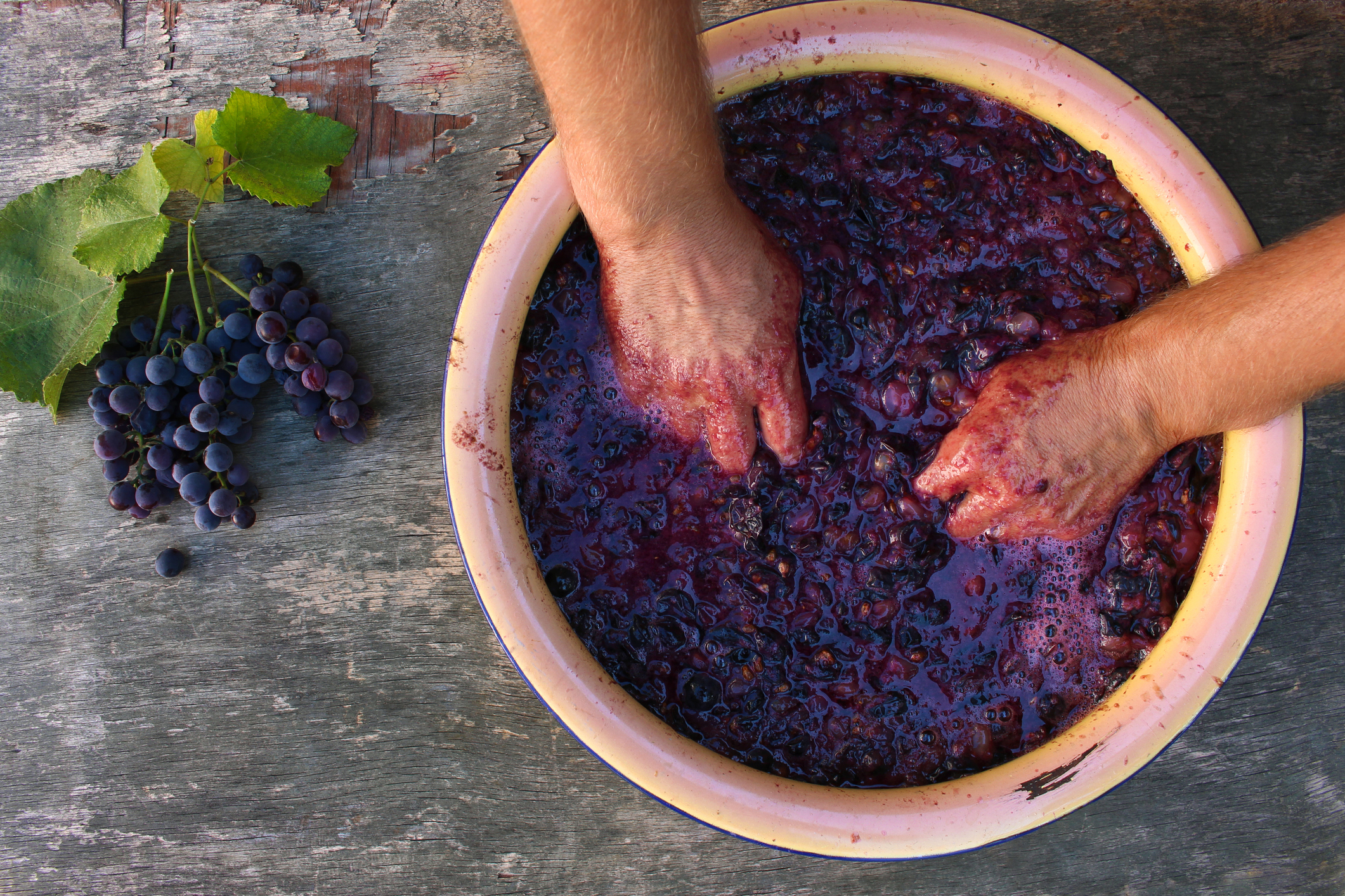 Wine Making At Home A Muddy Life