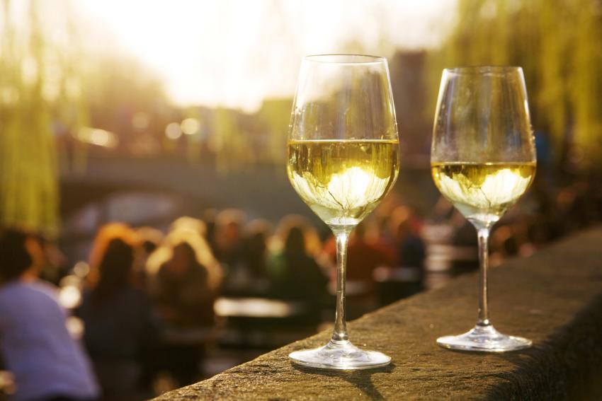 10 Best Affordable Sauvignon Blanc Wines to Wake Up Your Palate ...