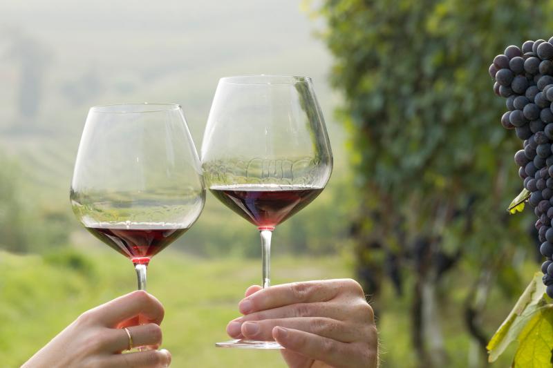 Nebbiolo: Guide to This Complex Red Wine From Piedmont | LoveToKnow