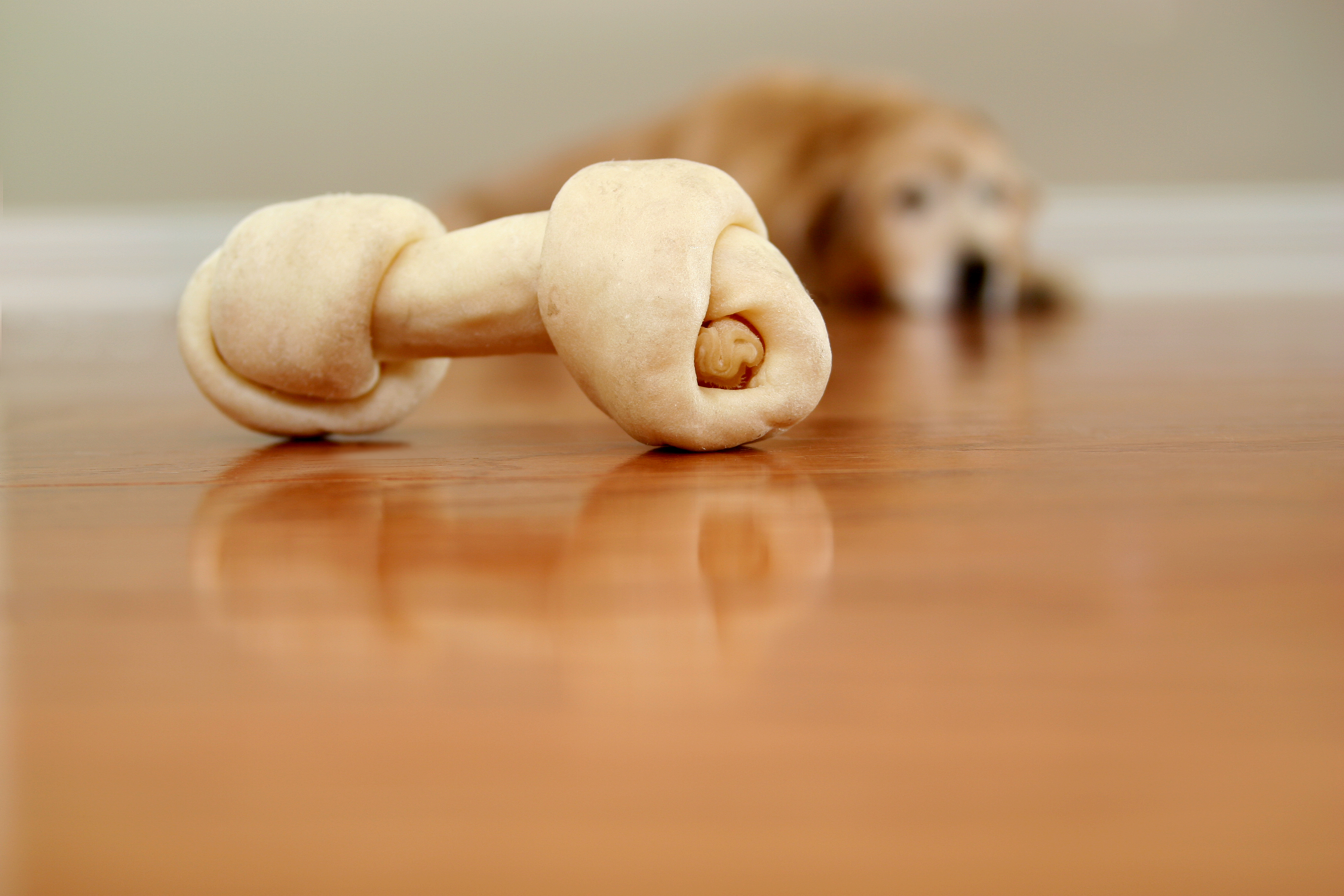 Is Beef Rawhide Good For Dogs