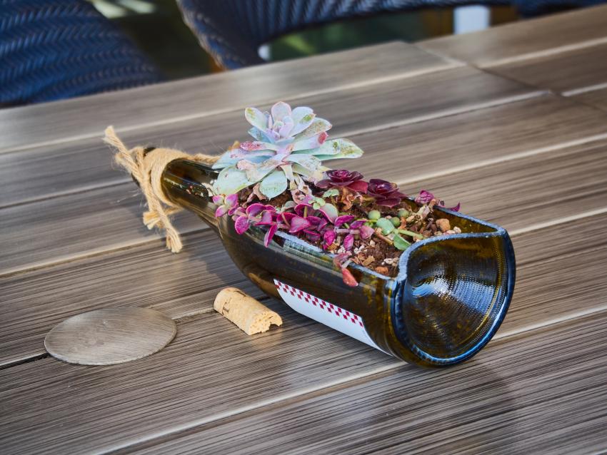 23 Charming Indoor Succulent Garden Ideas That Are Living Art | LoveToKnow