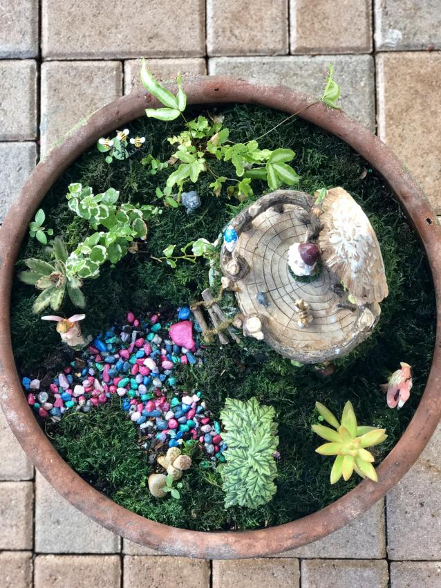 23 Charming Indoor Succulent Garden Ideas That Are Living Art | LoveToKnow