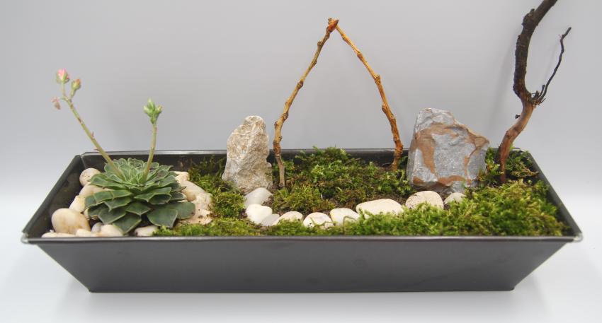 23 Charming Indoor Succulent Garden Ideas That Are Living Art | LoveToKnow