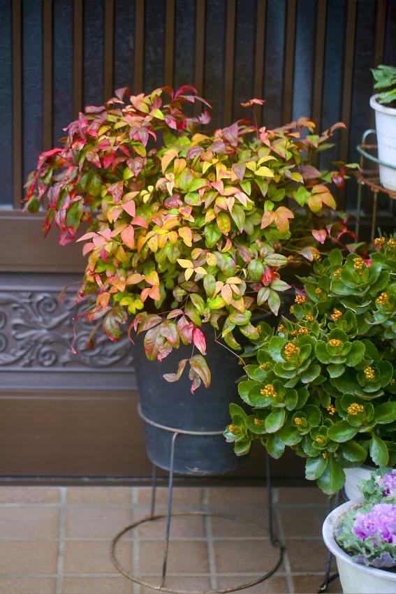 30 Fall Porch Decor Ideas for the Warmest of Welcomes | LoveToKnow