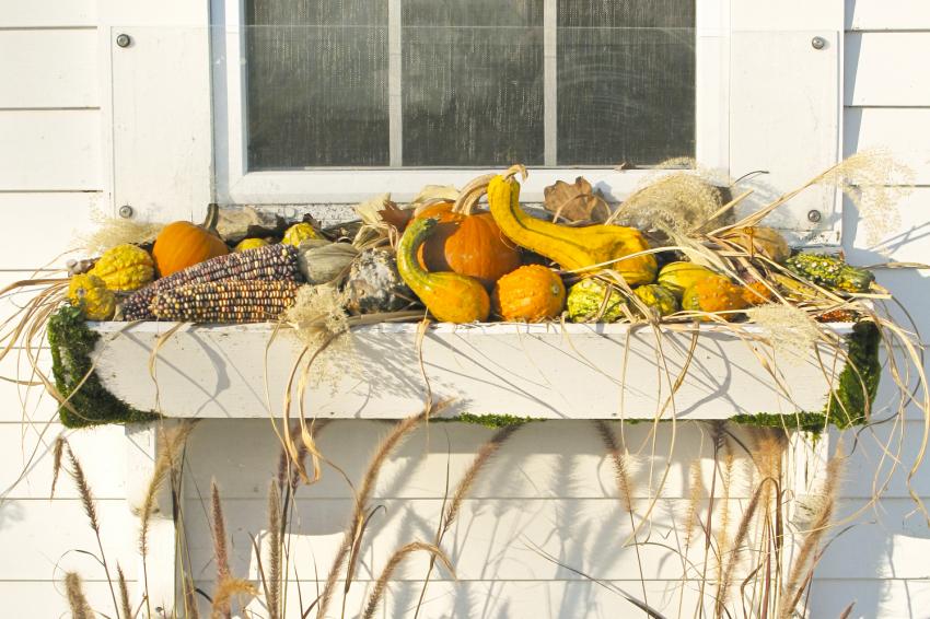 30 Fall Porch Decor Ideas for the Warmest of Welcomes | LoveToKnow