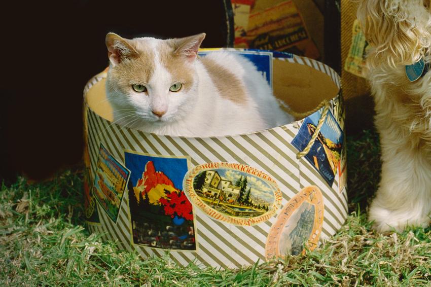 76 of the Coolest Things You Can Put Stickers On | LoveToKnow