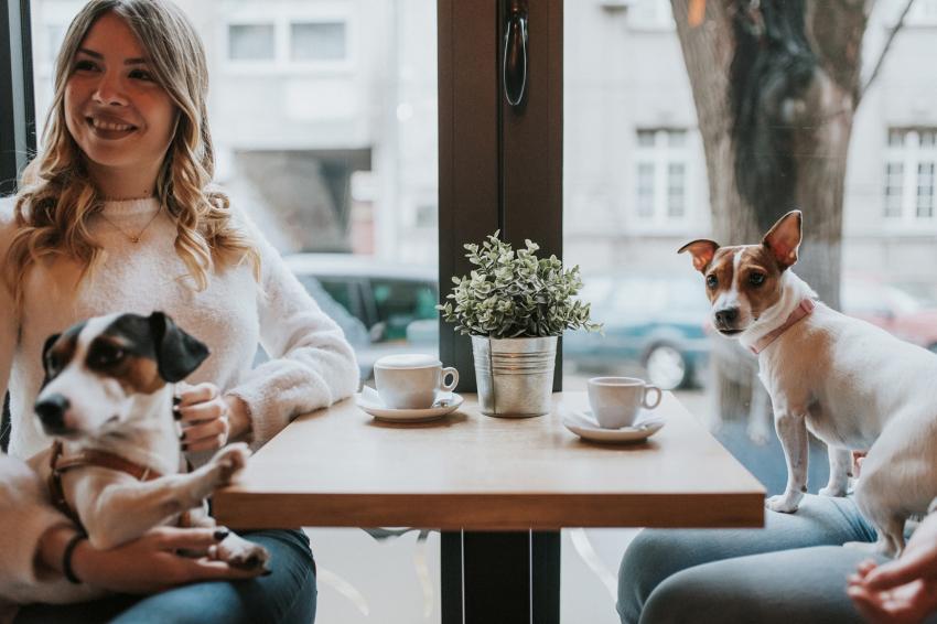 12 Things Your Barista Wants You to Know: Insider Secrets | LoveToKnow