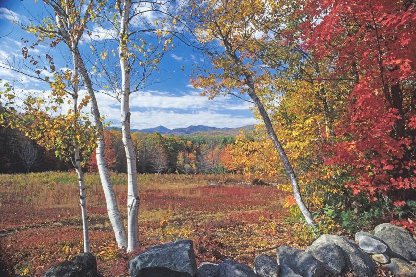 10 Best Places to Visit This Fall for a Family Trip | LoveToKnow