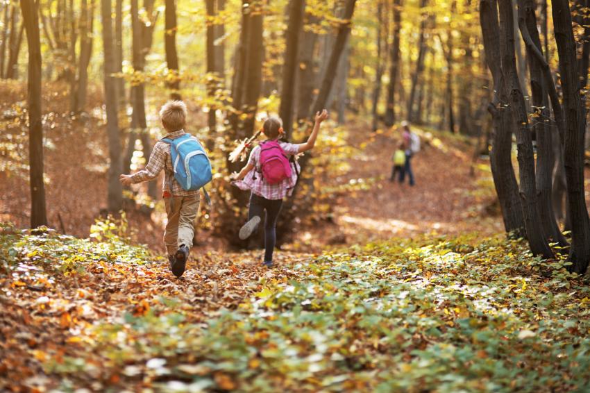 10 Best Places to Visit This Fall for a Family Trip | LoveToKnow