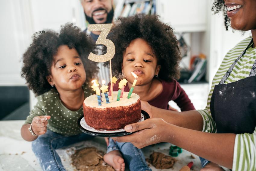 11 Twin Birthday Party Theme Ideas for Your Dynamic Duo | LoveToKnow
