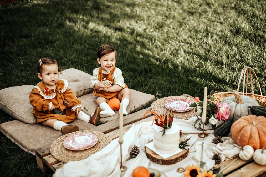 11 Twin Birthday Party Theme Ideas for Your Dynamic Duo | LoveToKnow