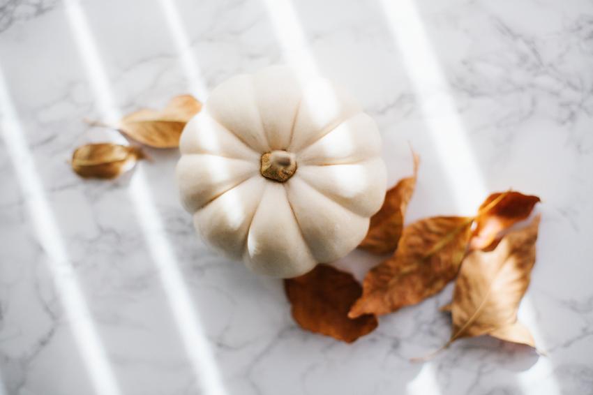 18 No-Carve Pumpkin Decorating Ideas to Spark Fall Creativity | LoveToKnow