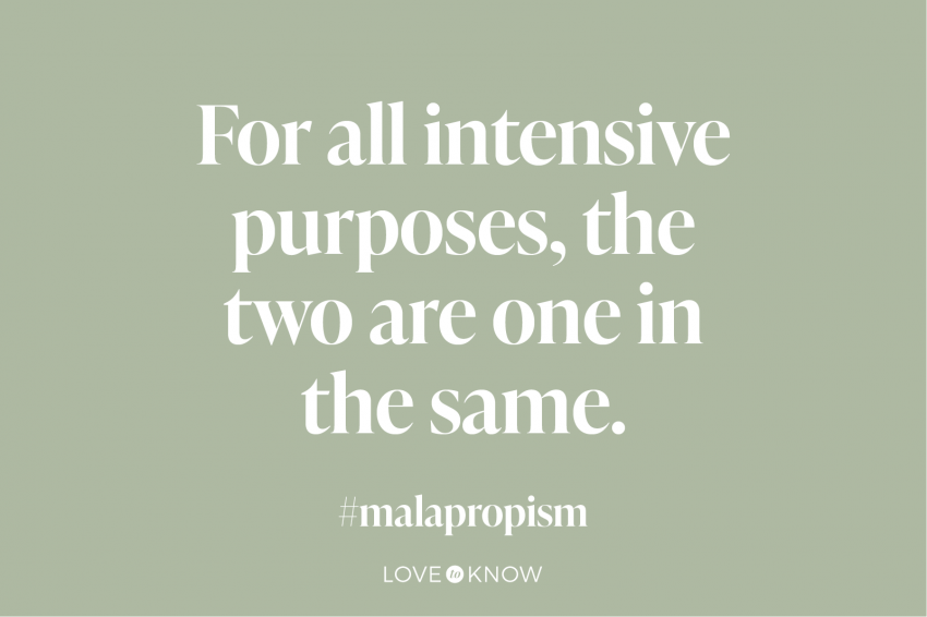 17 Hilarious Examples of Malapropisms & What You Should Say Instead ...