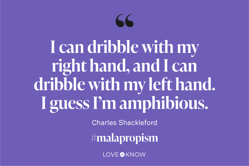 17 Hilarious Examples of Malapropisms & What You Should Say Instead ...