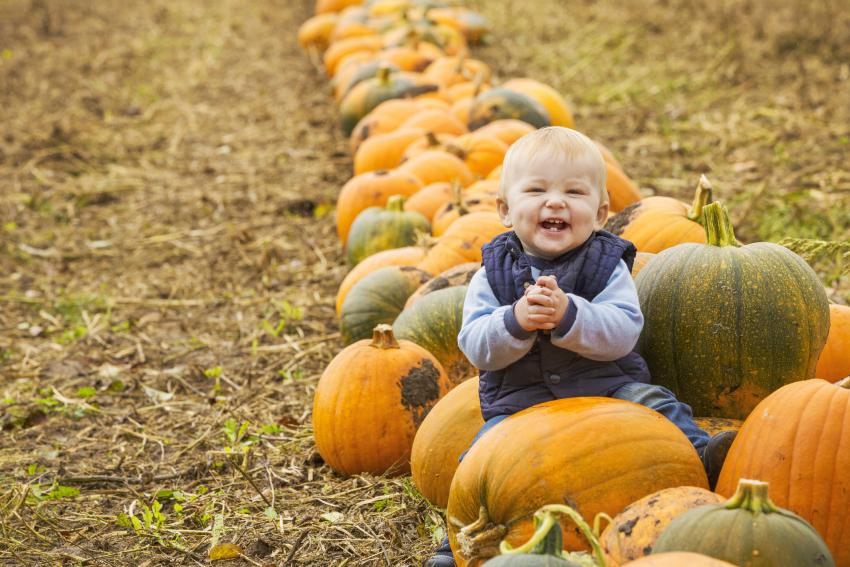 8 Pro Tips for the Cutest Baby Pumpkin Pictures in the Patch | LoveToKnow
