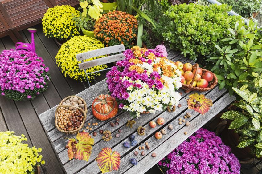 13 Front Porch Fall Planter Ideas for Effortless Autumn Style | LoveToKnow