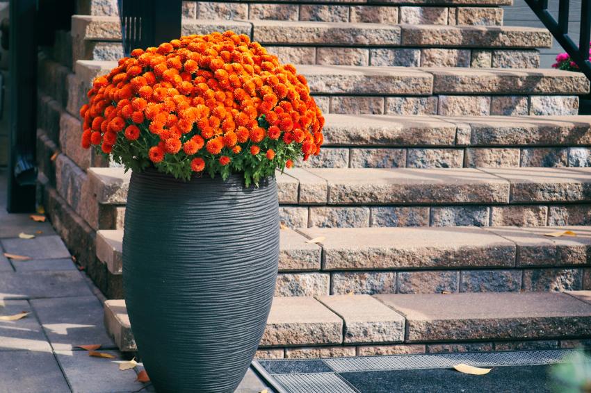 13 Front Porch Fall Planter Ideas for Effortless Autumn Style | LoveToKnow