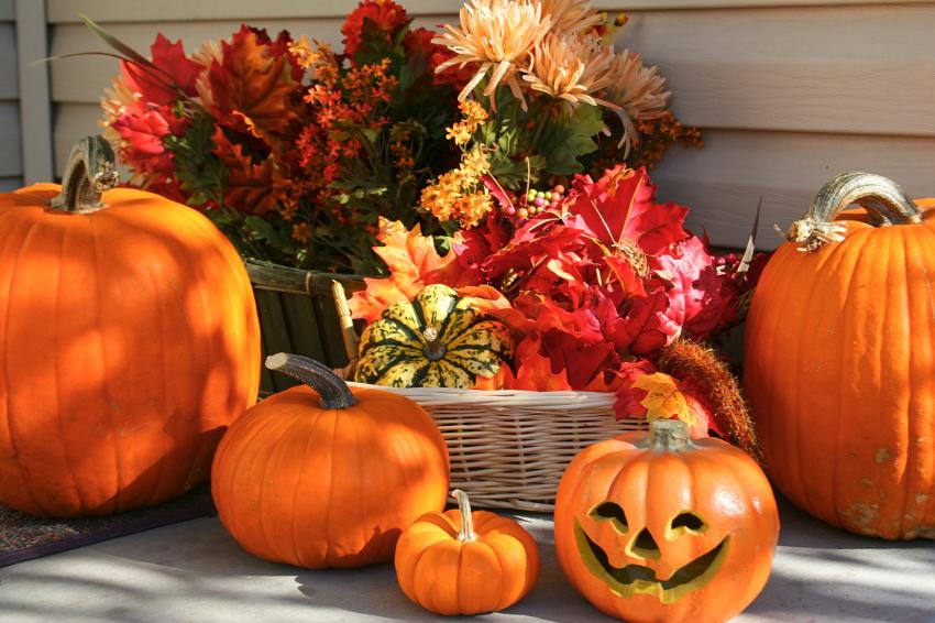 13 Front Porch Fall Planter Ideas for Effortless Autumn Style | LoveToKnow