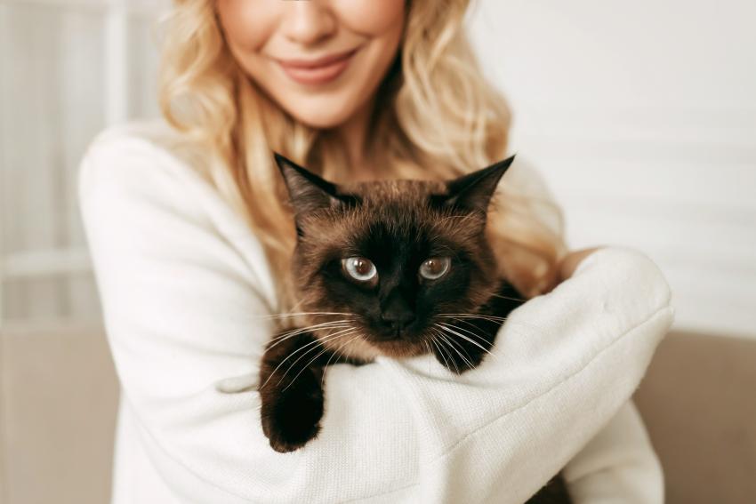 Coolest Looking Cat Breeds: From Exotic to Extraordinary | LoveToKnow Pets