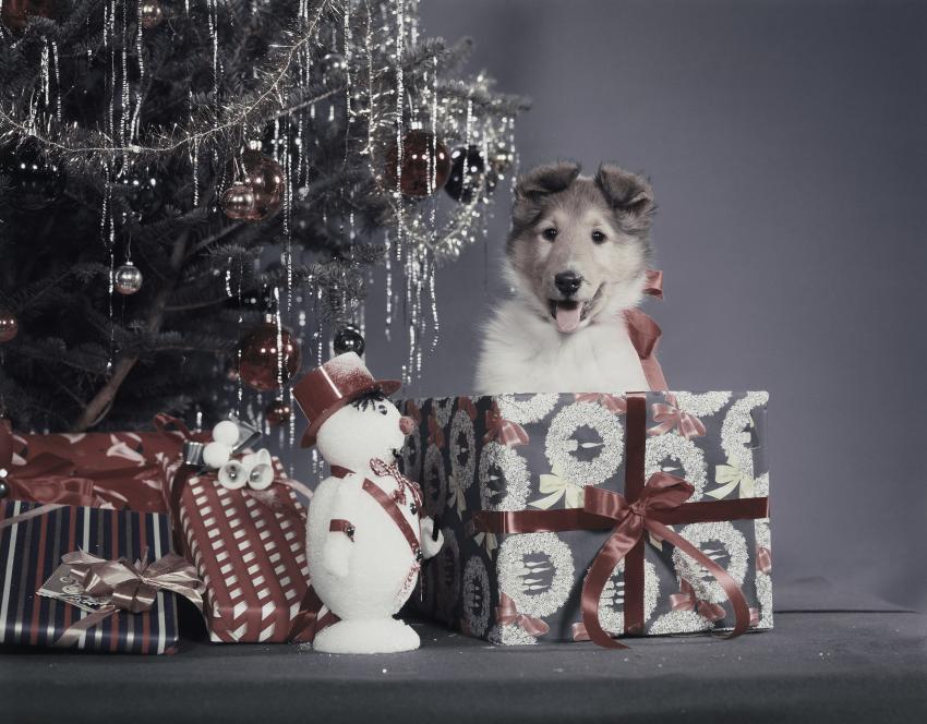 9 Dangerous Christmas Decorations That Make the Naughty List | LoveToKnow