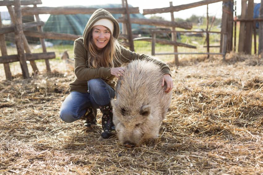 14 Awesome & Weird Pets You Didn’t Know You Could Adopt | LoveToKnow Pets