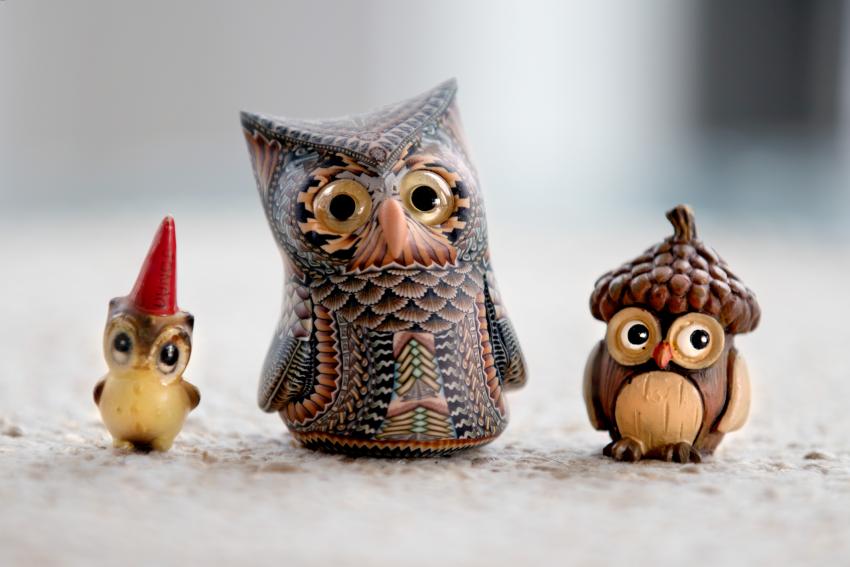 14 Things You Can Use Right Now to Bring You Good Luck | LoveToKnow