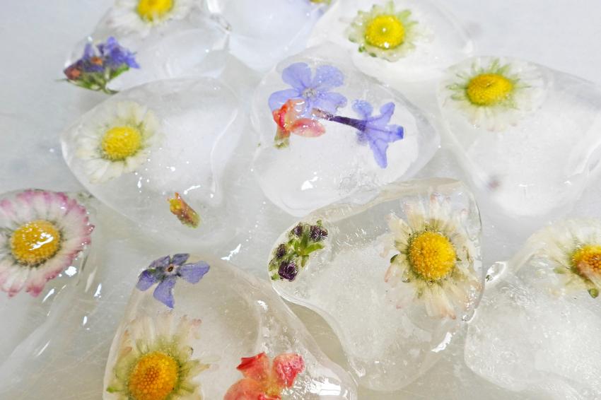 Dress Up Your Drinks With Fun, Fancy Ice Cube Ideas | LoveToKnow