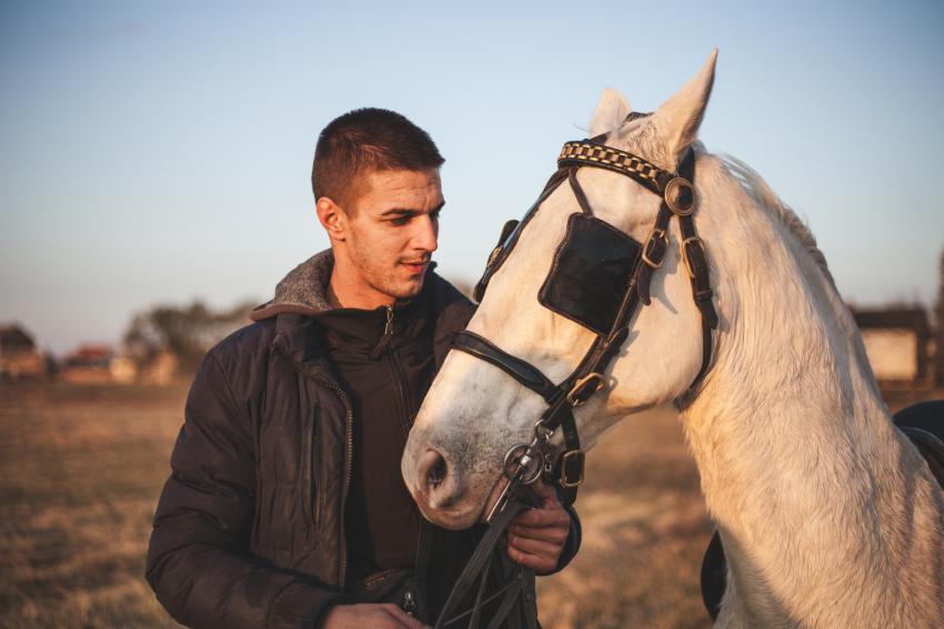 12 Things Your Horse Ferrier Wants You To Know | LoveToKnow Pets