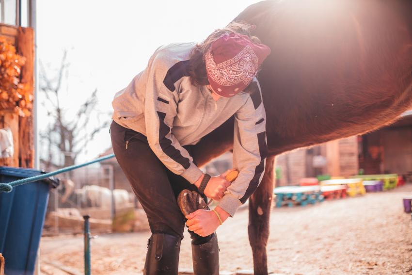 12 Things Your Horse Ferrier Wants You To Know | LoveToKnow Pets