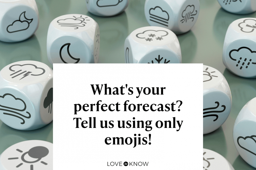 Funny Interactive Memes to Stir Up Your Social Space | LoveToKnow