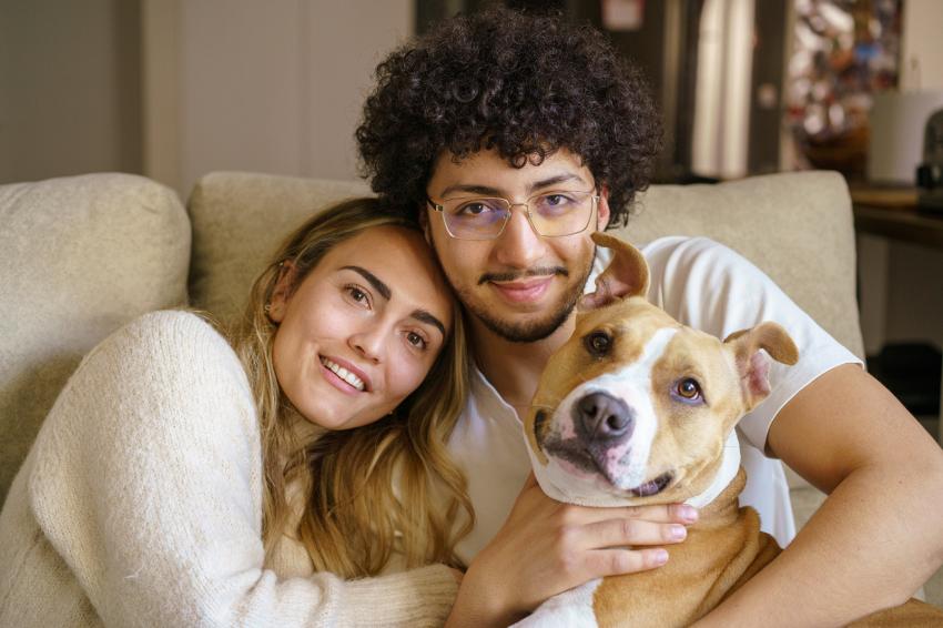 Meet the Pit Bull, aka "Pibble," Dog Breed That's Not a Dog Breed ...