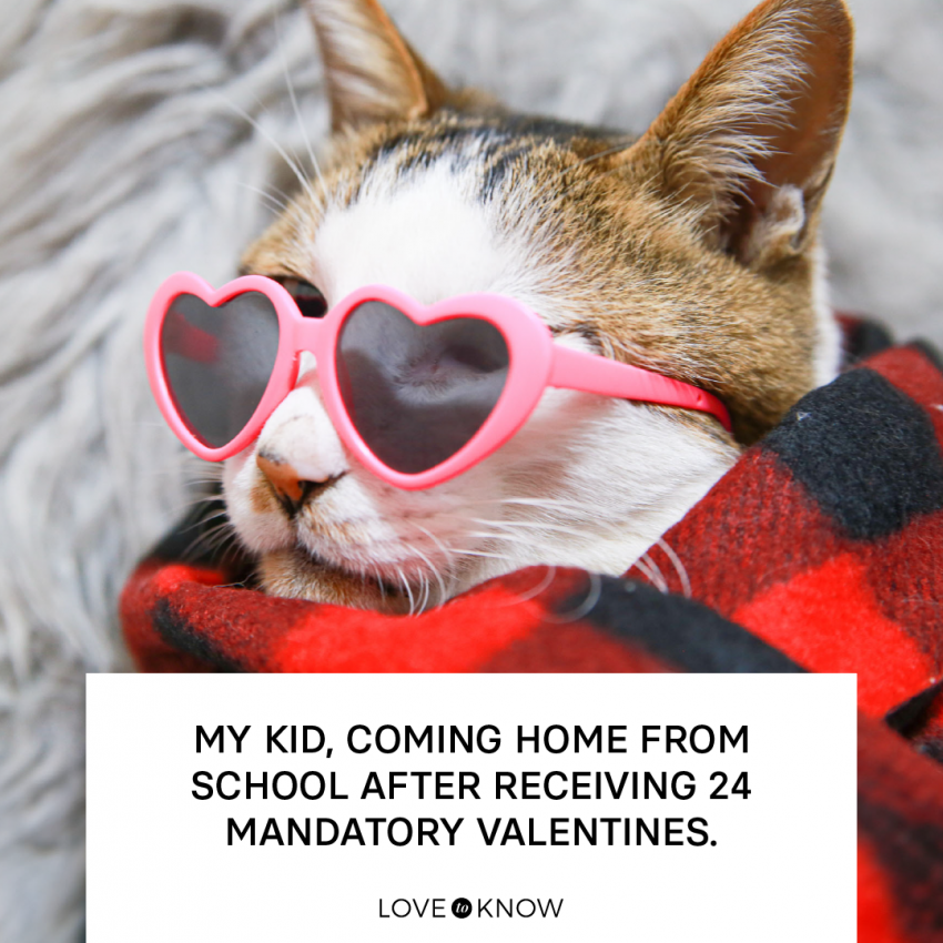 15 Valentine's Day Memes for Your Funny Valentine | LoveToKnow