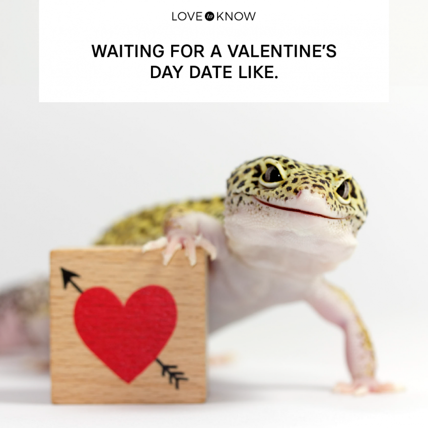 15 Valentine's Day Memes for Your Funny Valentine | LoveToKnow