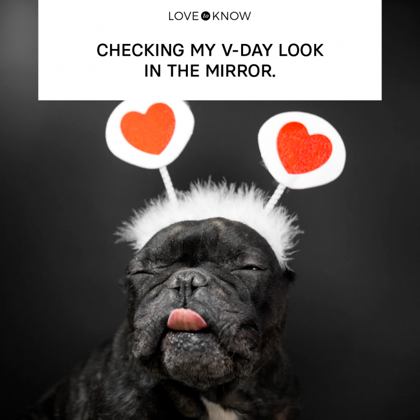 15 Valentine's Day Memes for Your Funny Valentine | LoveToKnow