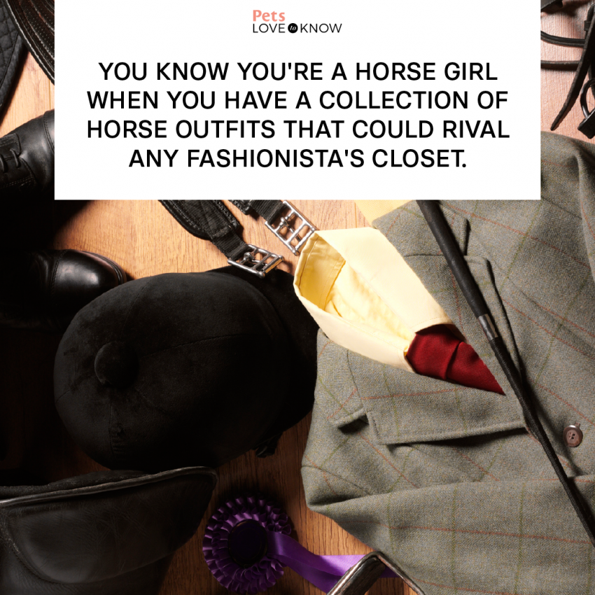 12 Horse Girl Memes That Speak to the Soul | LoveToKnow Pets