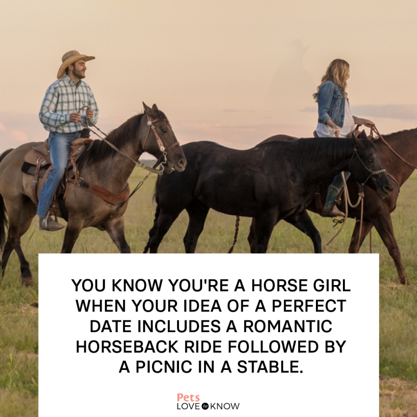12 Horse Girl Memes That Speak to the Soul | LoveToKnow Pets